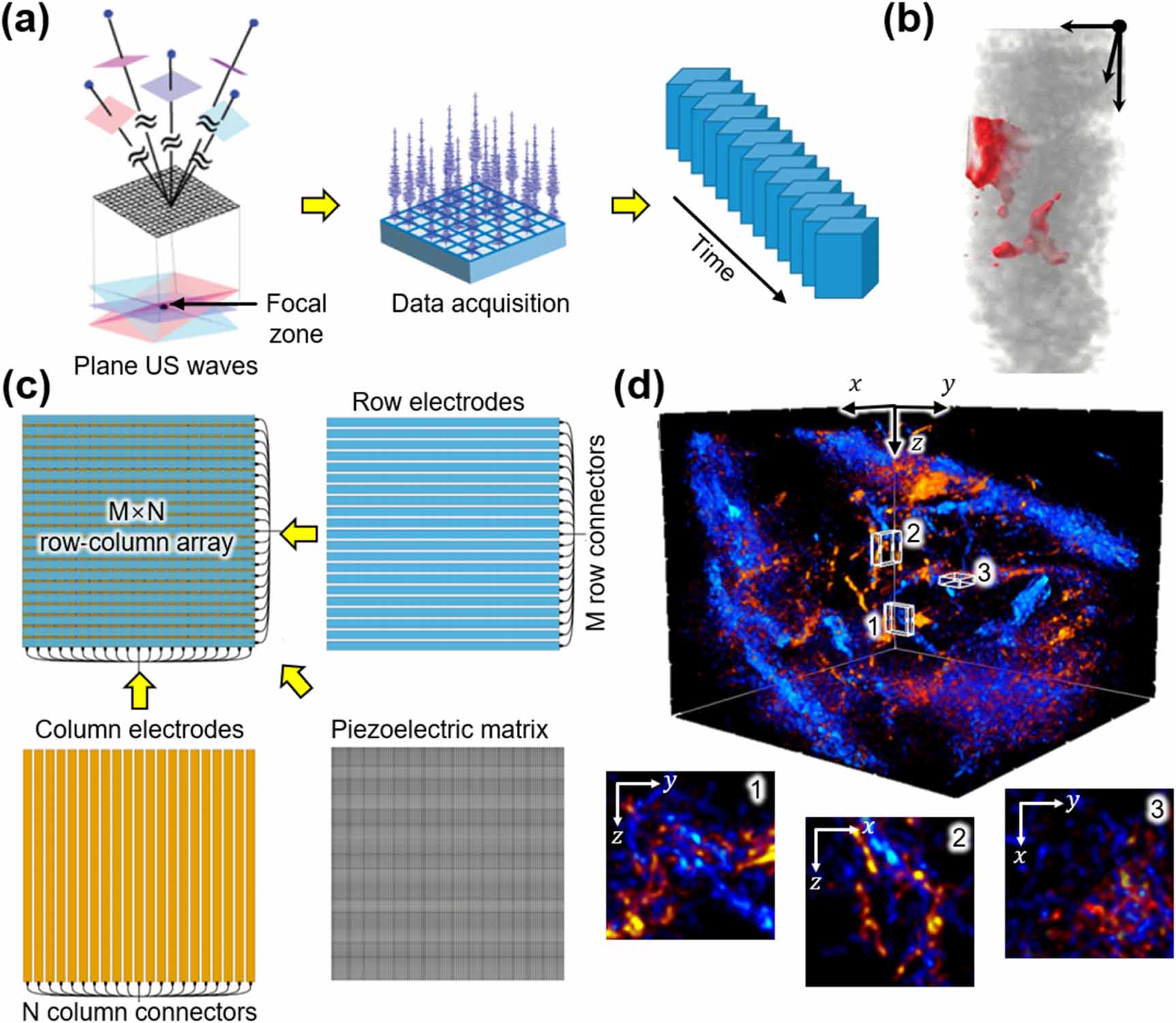 In vivo photoacoustic and ultrafast ultrasound Doppler assessment of ...