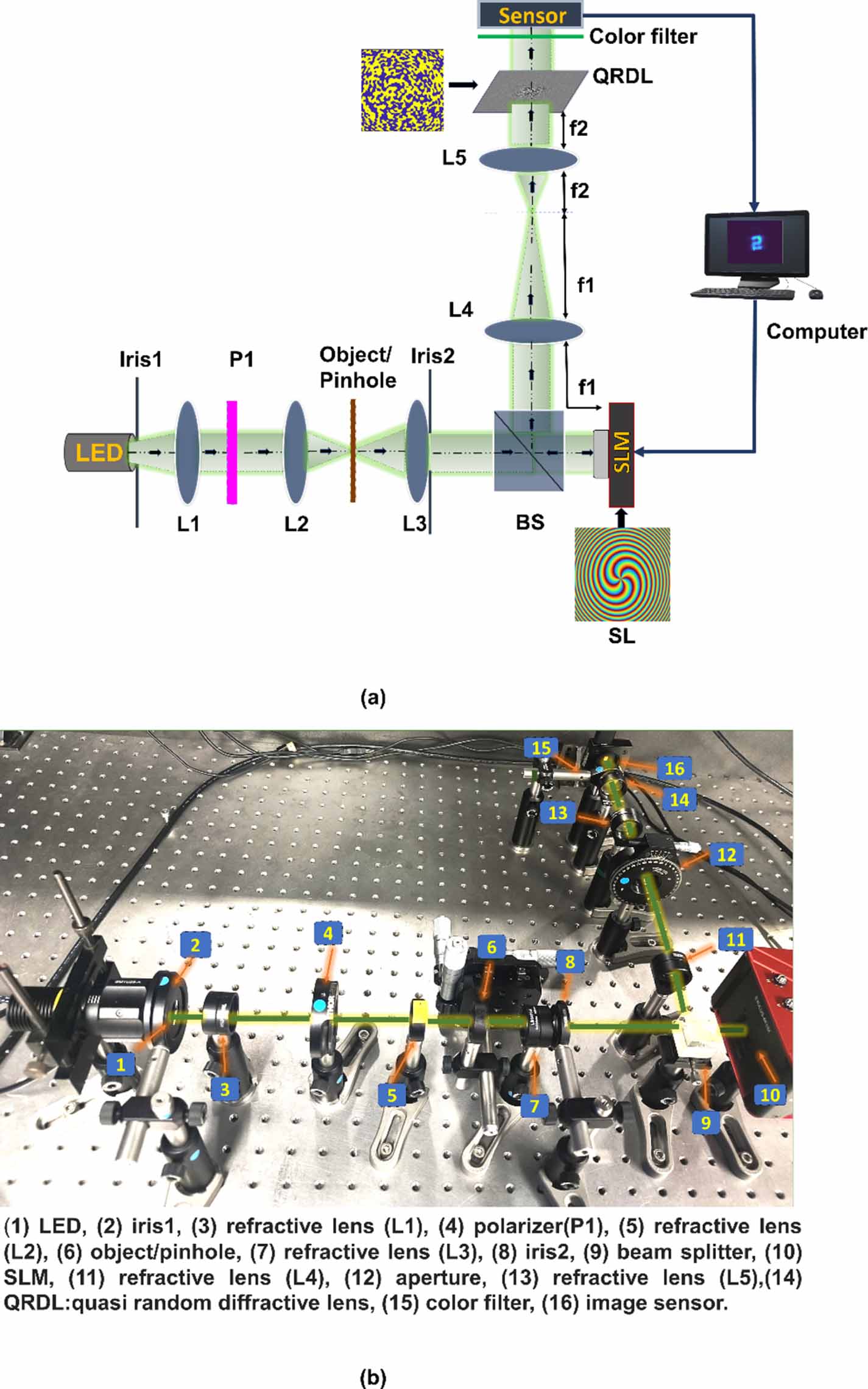 Interferenceless coded aperture correlation holography for five ...