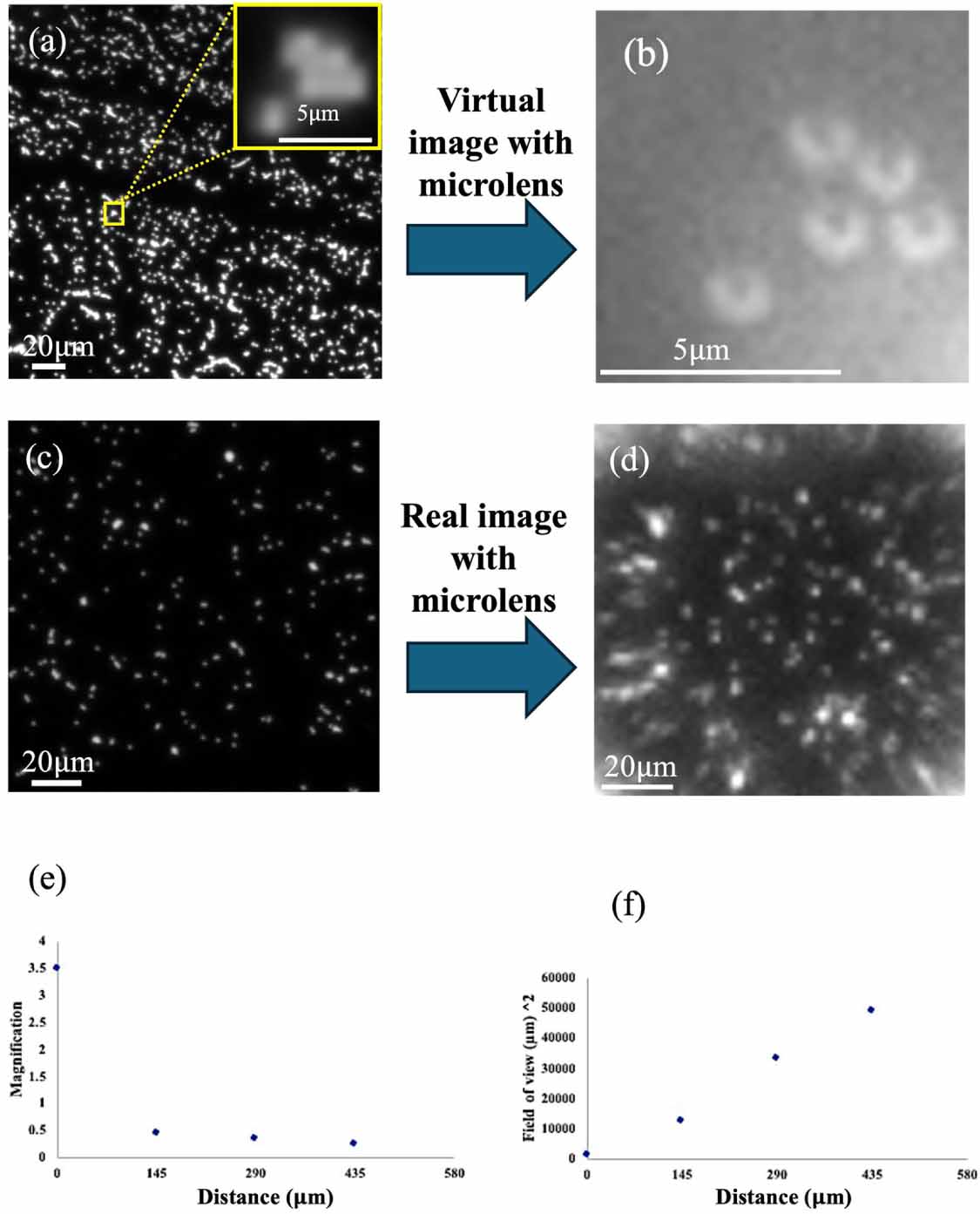 High-resolution multi-modal imaging of sub-cellular structures with low ...