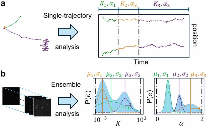 Enhancing diffusion estimation in single-particle experiments through motion change analysis ...