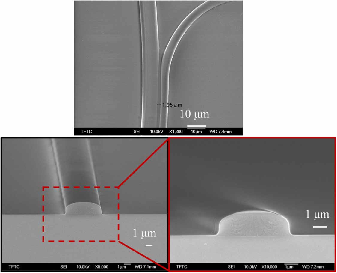 Low-loss polymeric waveguides for co-packaged optics on glass ...