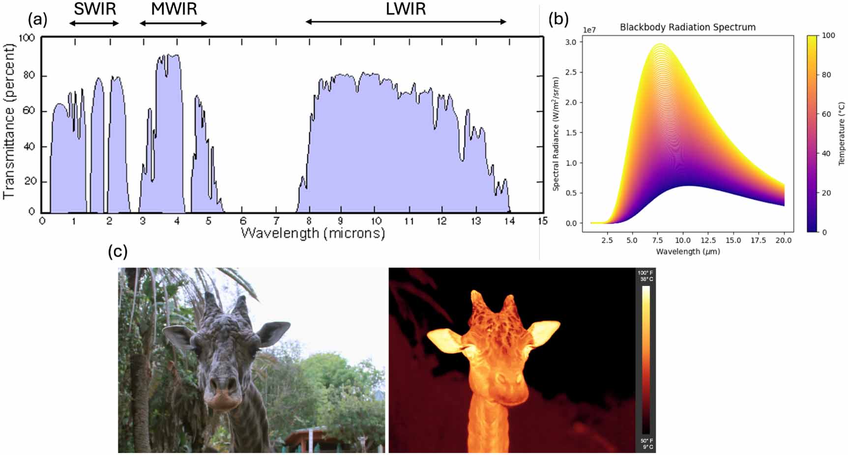 Meta-optical imaging at thermal wavelengths - IOPscience