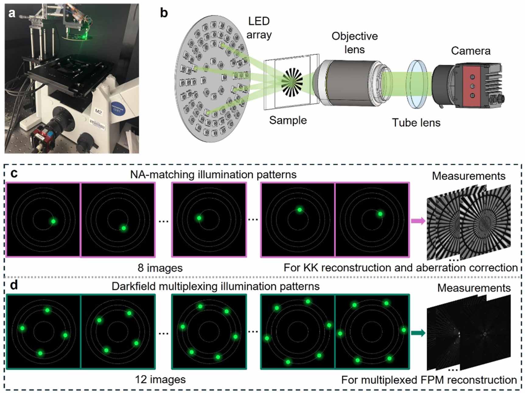 Hybrid-illumination multiplexed Fourier ptychographic microscopy with ...