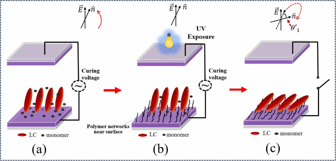 Photopatterned surface polymer-stabilized alignment (SPSA) for tunable ...