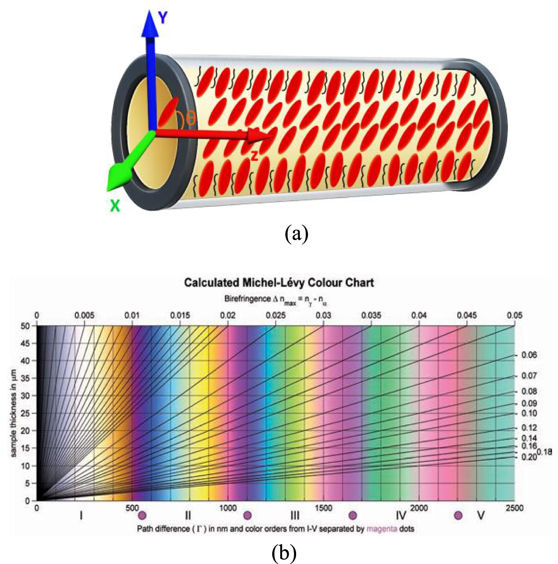 Photopatterned surface polymer-stabilized alignment (SPSA) for tunable ...