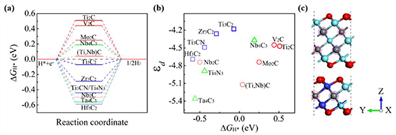 MXene and MBene as efficient catalysts for energy conversion: roles of ...