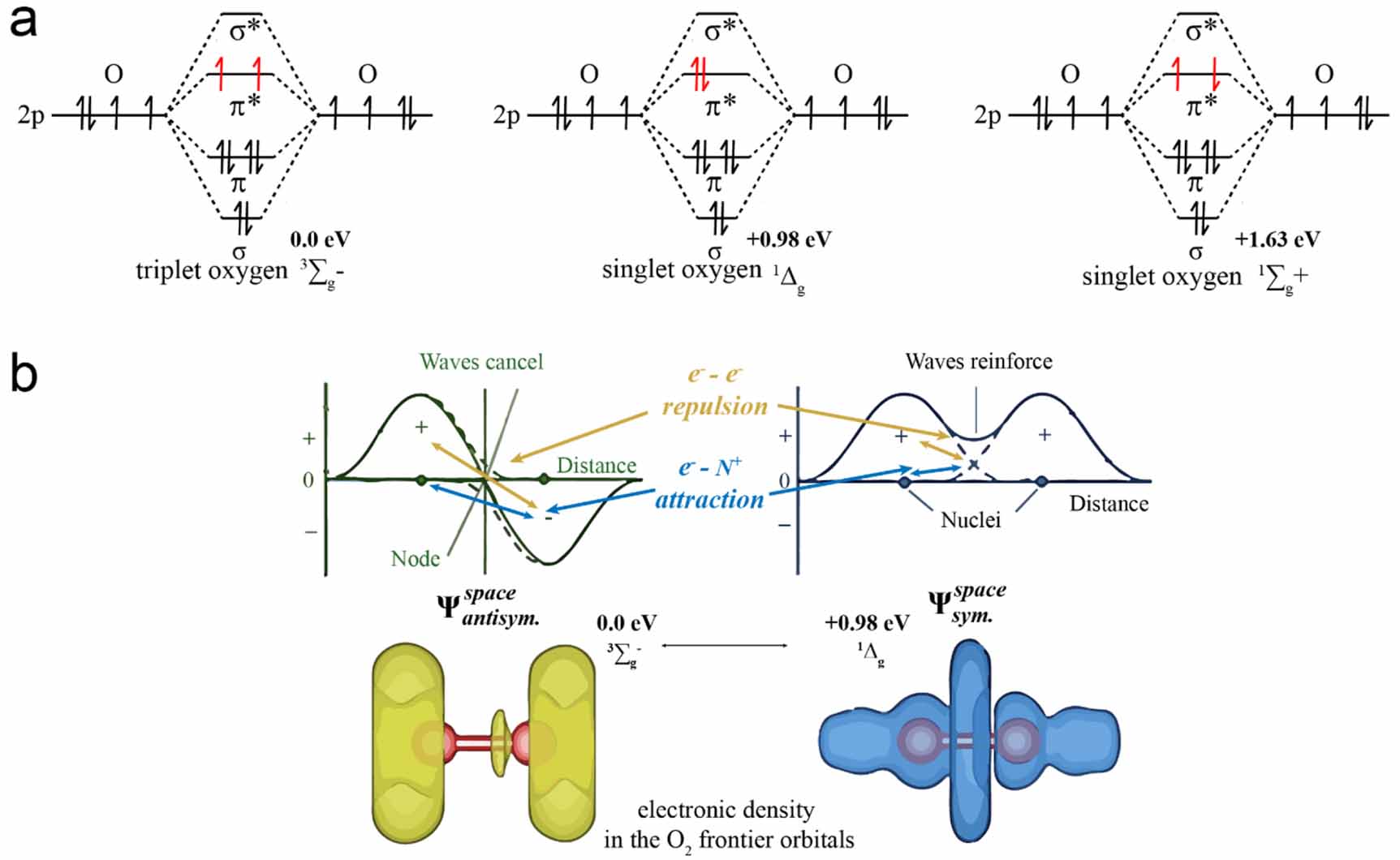 A discussion on the possible involvement of singlet oxygen in oxygen ...