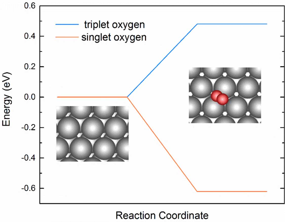 A discussion on the possible involvement of singlet oxygen in oxygen ...