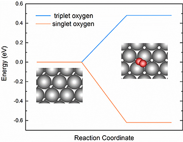 A discussion on the possible involvement of singlet oxygen in oxygen ...