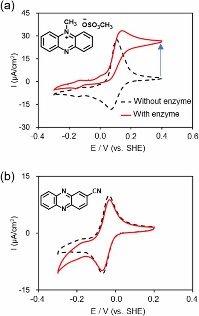 Simulating the redox potentials of unexplored phenazine derivatives as ...