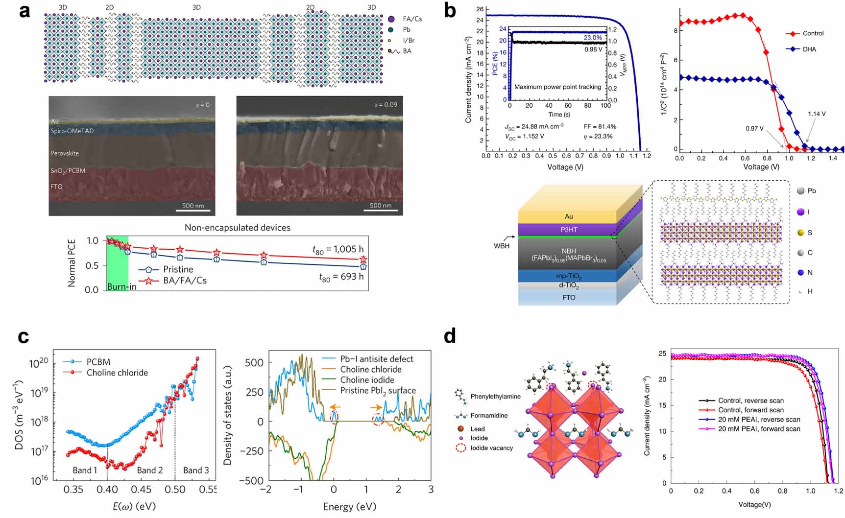Defect passivation of perovskites in high efficiency solar cells ...