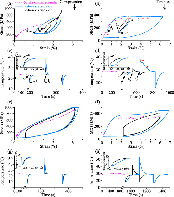 From the elastocaloric effect towards an efficient thermodynamic cycle ...