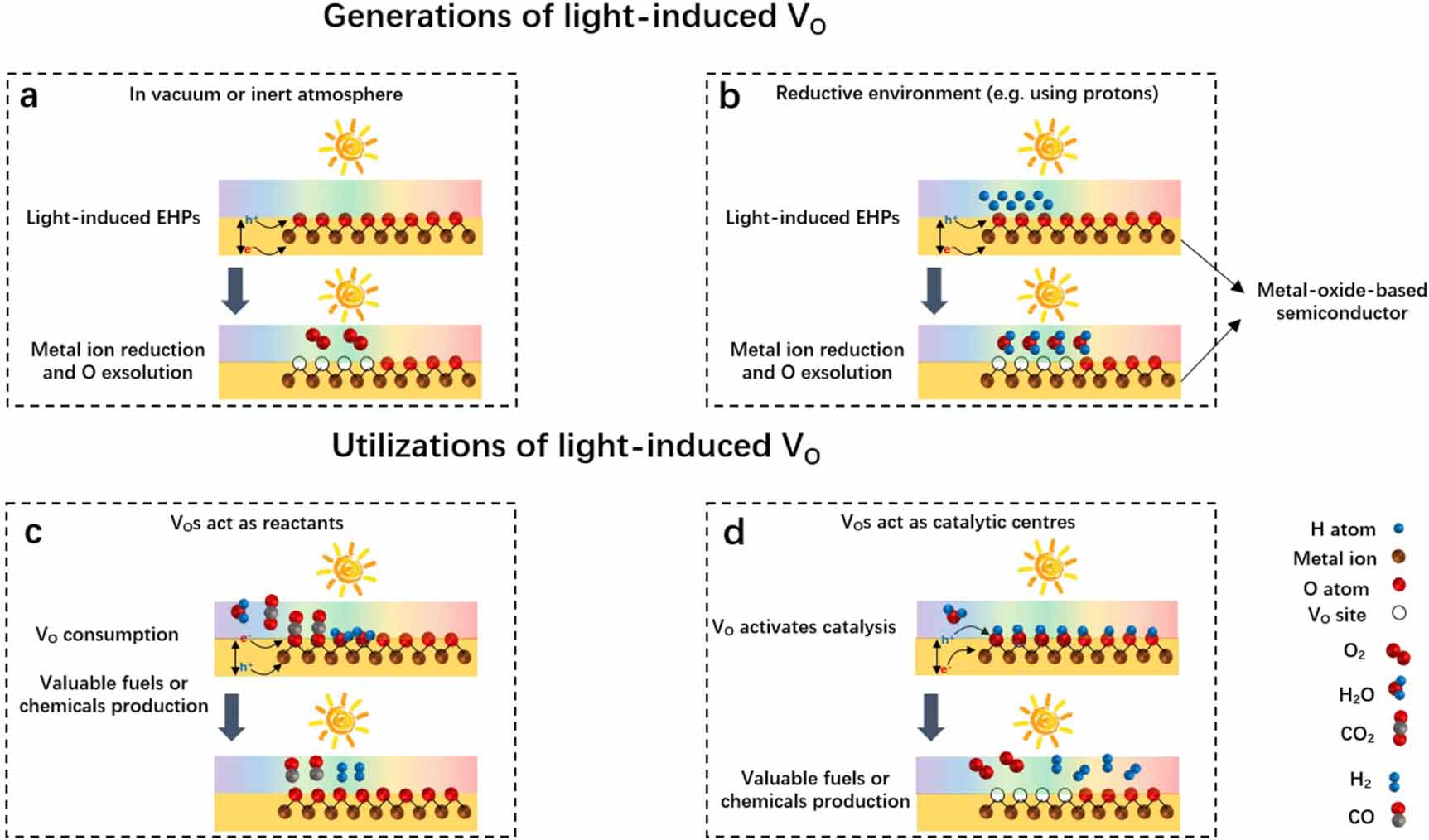 Understanding the light-induced oxygen vacancy in the photochemical ...