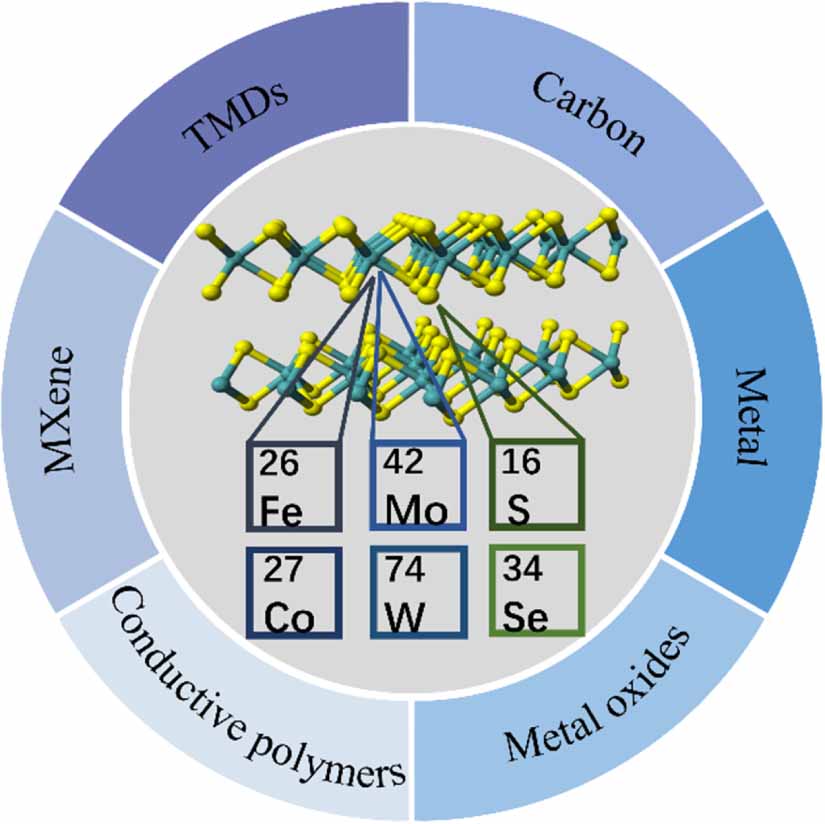 Two-dimensional transition metal dichalcogenides based composites for ...