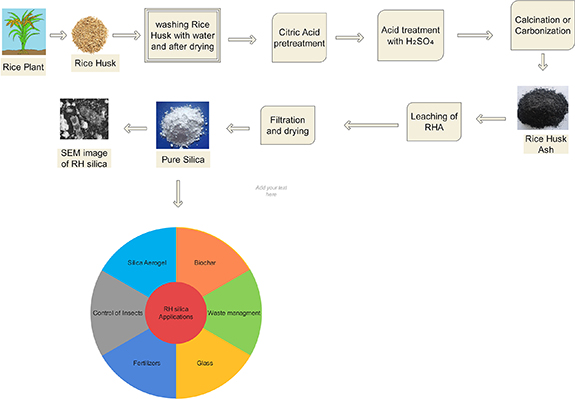 Valorization of lignocellulosic rice husk producing biosilica and ...