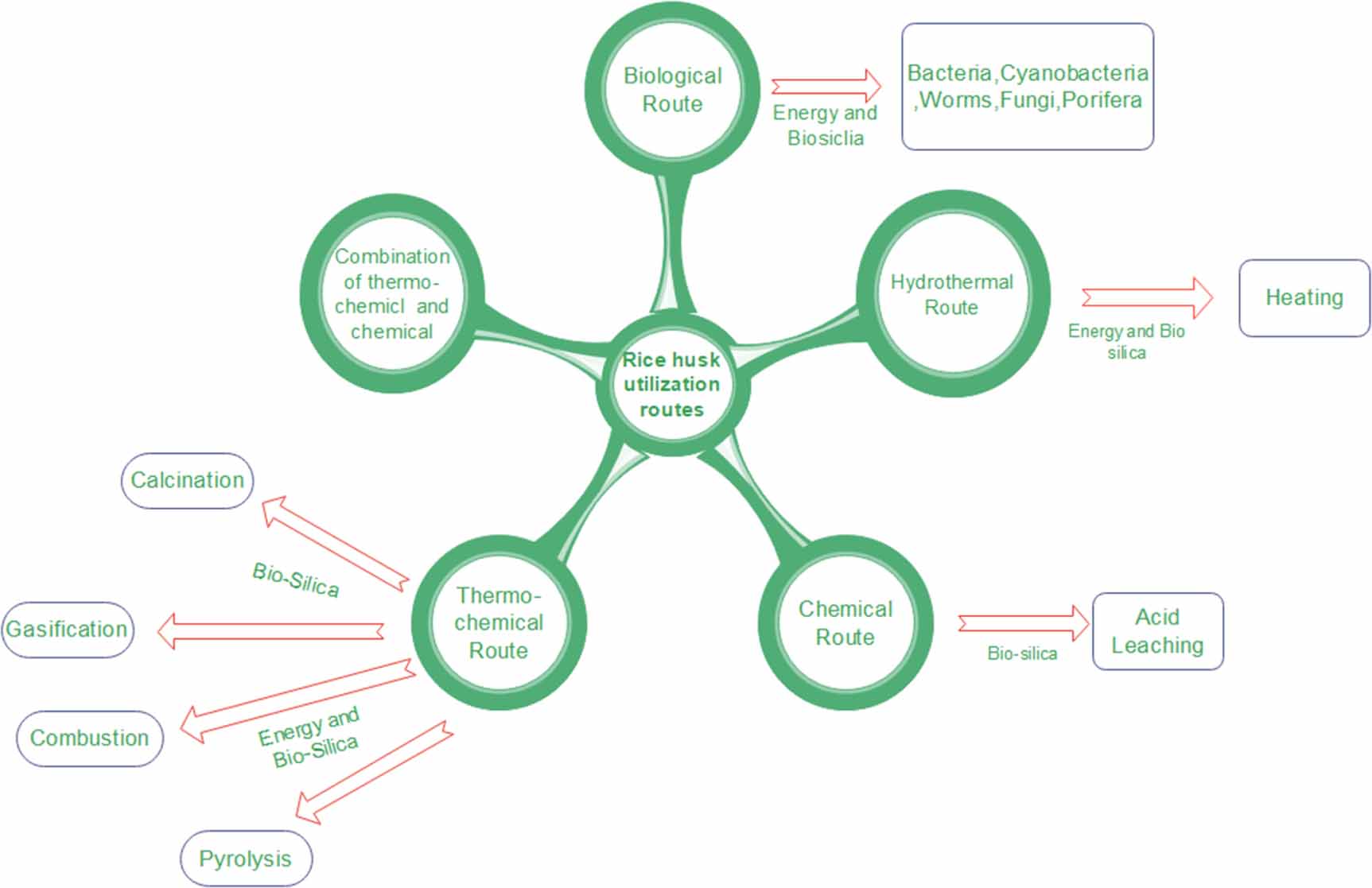 Valorization of lignocellulosic rice husk producing biosilica and ...