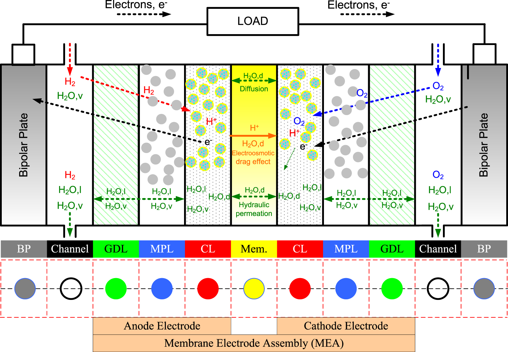 A computationally efficient and high-fidelity 1D steady-state ...