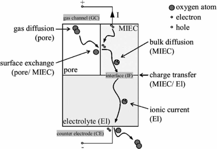 Modelling of solid oxide cell oxygen electrodes - IOPscience