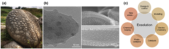 Roadmap on exsolution for energy applications - IOPscience