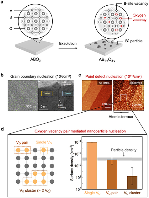 Roadmap on exsolution for energy applications - IOPscience