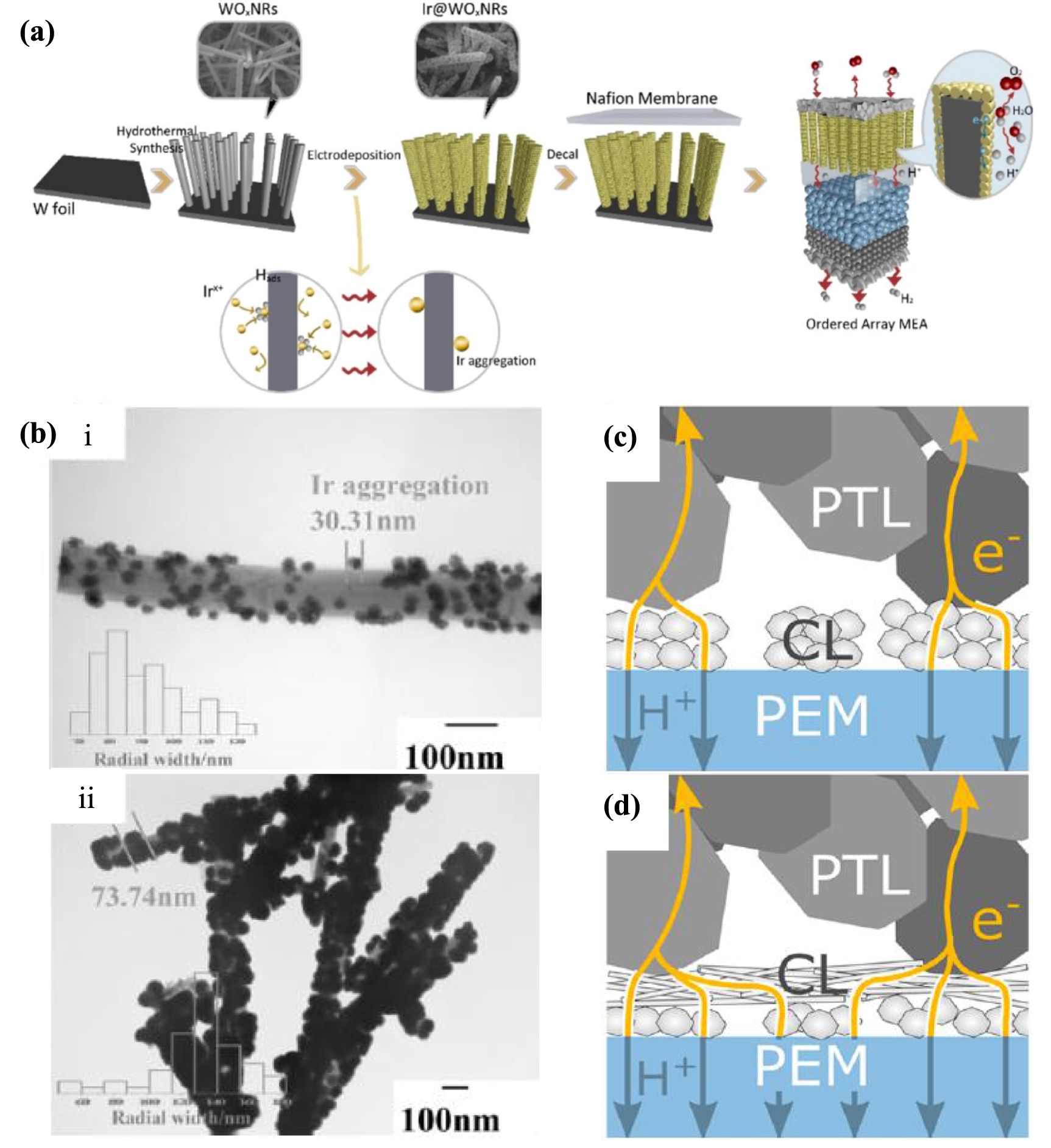 A brief introduction of electrode fabrication for proton exchange ...