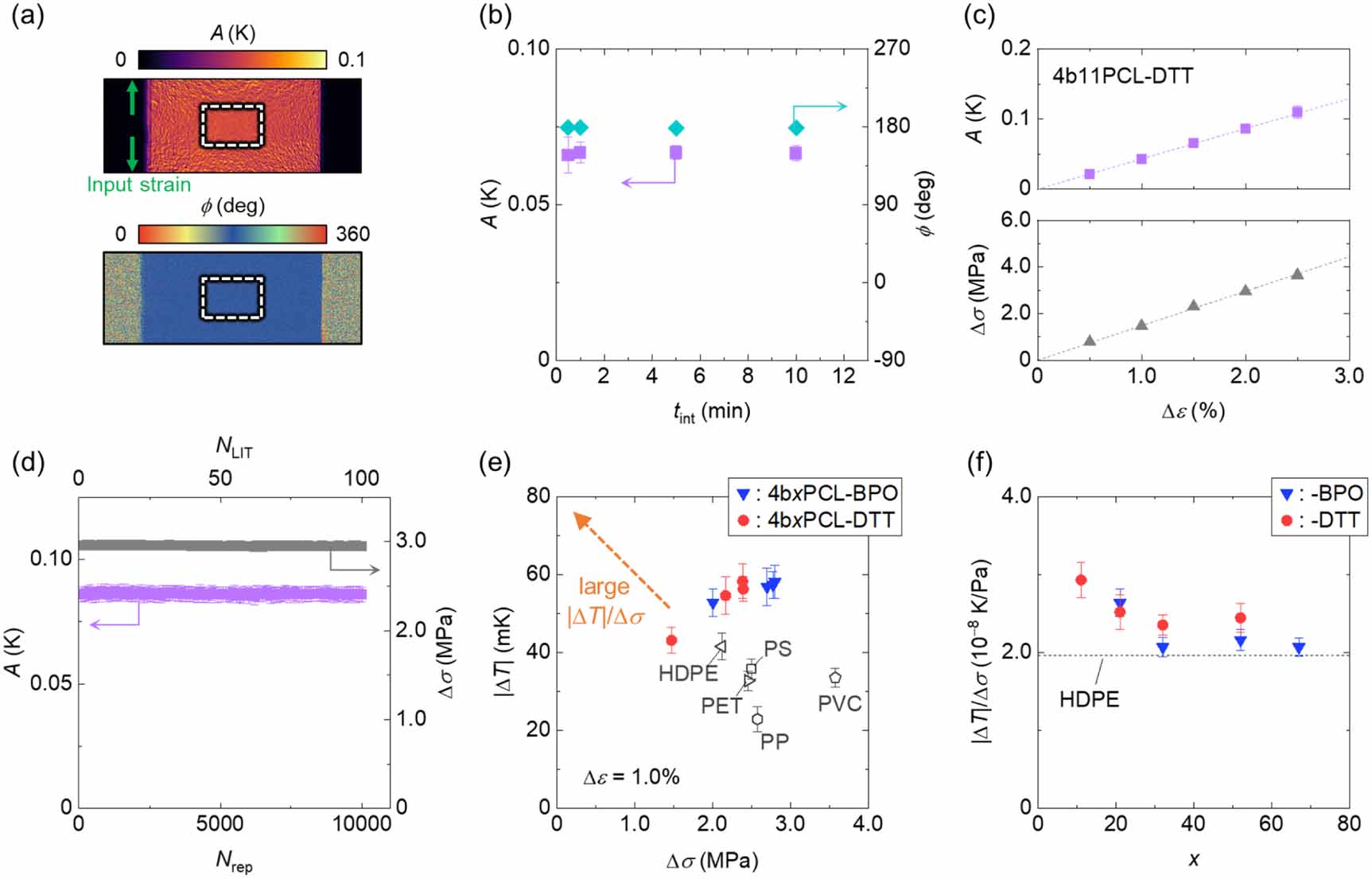 Elastocaloric effect of shape memory polymers in elastic response ...