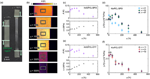 Elastocaloric effect of shape memory polymers in elastic response ...