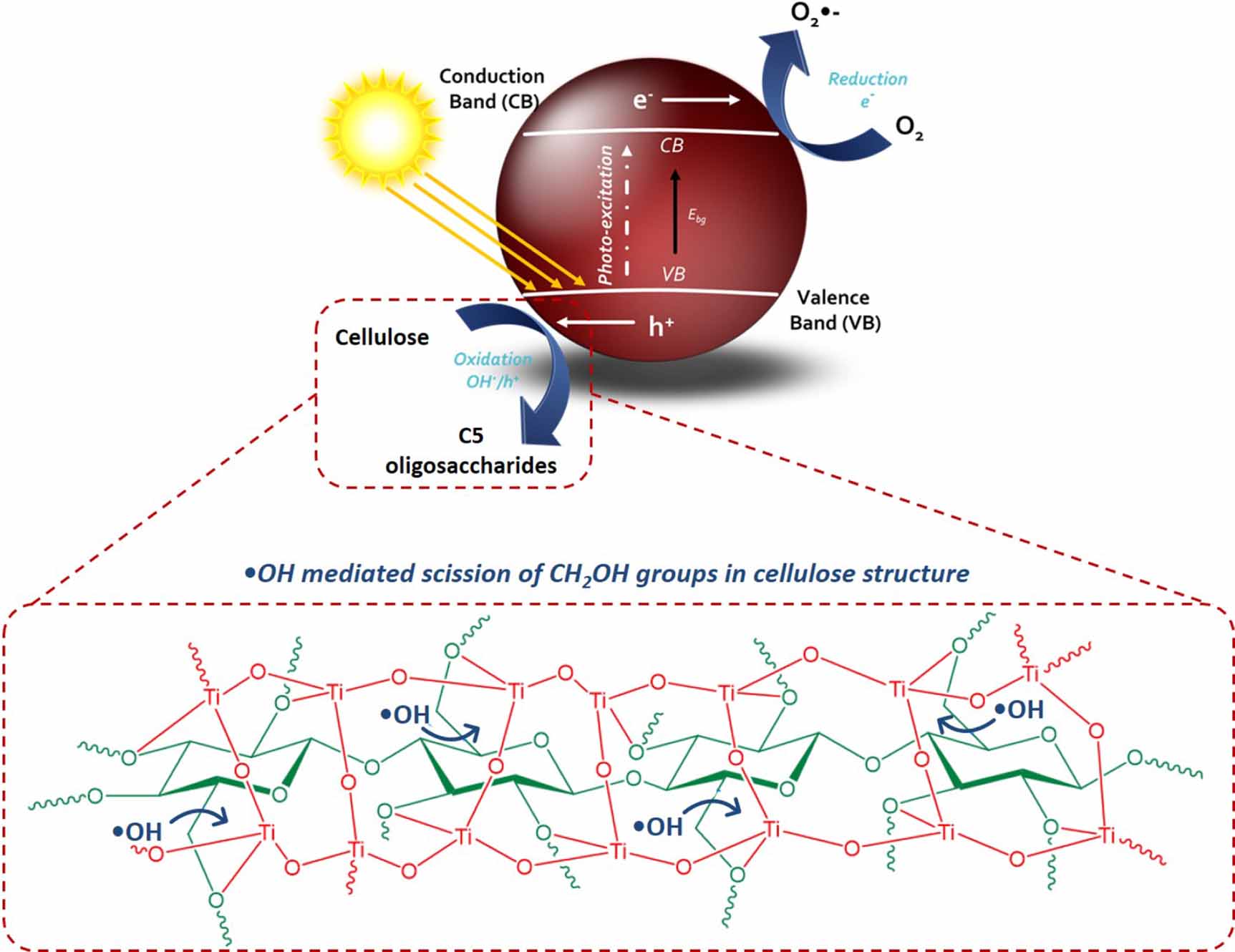 Photocatalytic conversion of cellulose into C5 oligosaccharides ...