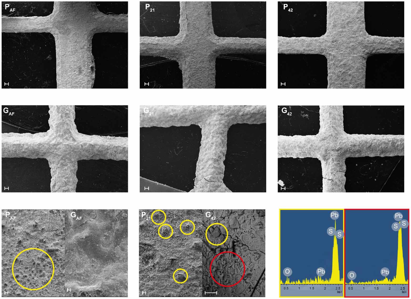 Non-destructive analysis of Pb-acid battery positive plates, based on ...
