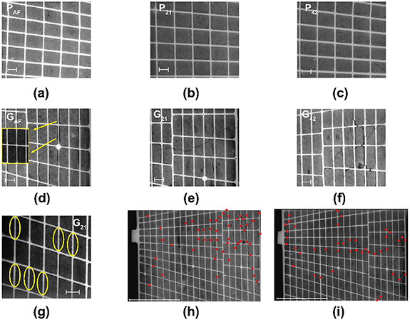 Non-destructive analysis of Pb-acid battery positive plates, based on ...