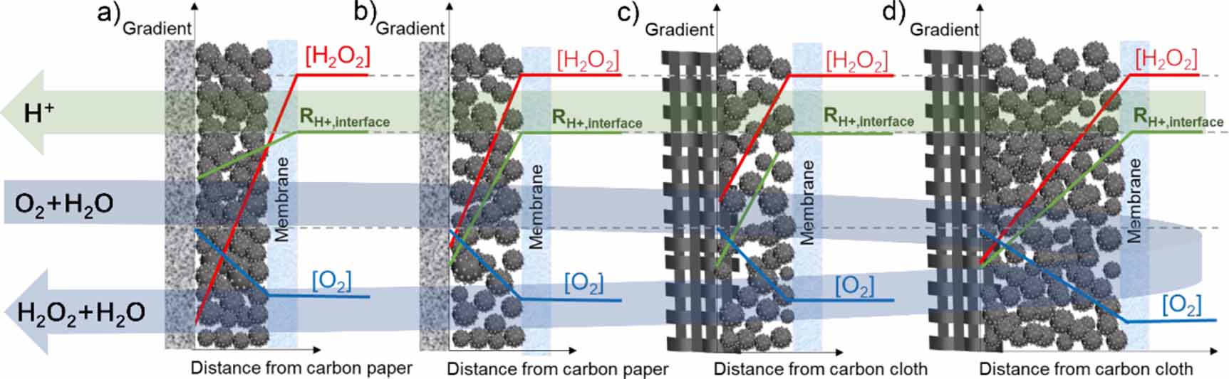 Optimal MEA structure and operating conditions for fuel cell reactors ...