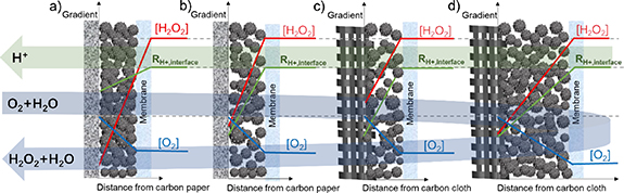 Optimal MEA structure and operating conditions for fuel cell reactors ...