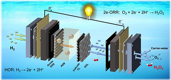 Optimal MEA structure and operating conditions for fuel cell reactors ...