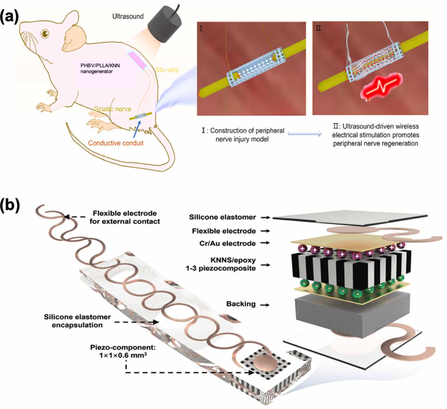 Ultrasound-driven triboelectric and piezoelectric nanogenerators in ...