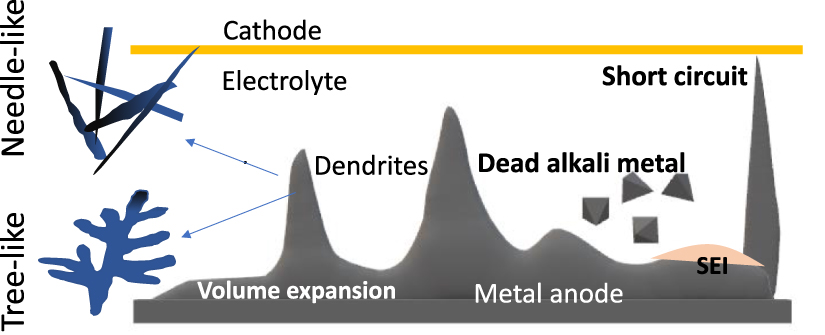Strategies to develop stable alkali metal anodes for rechargeable ...