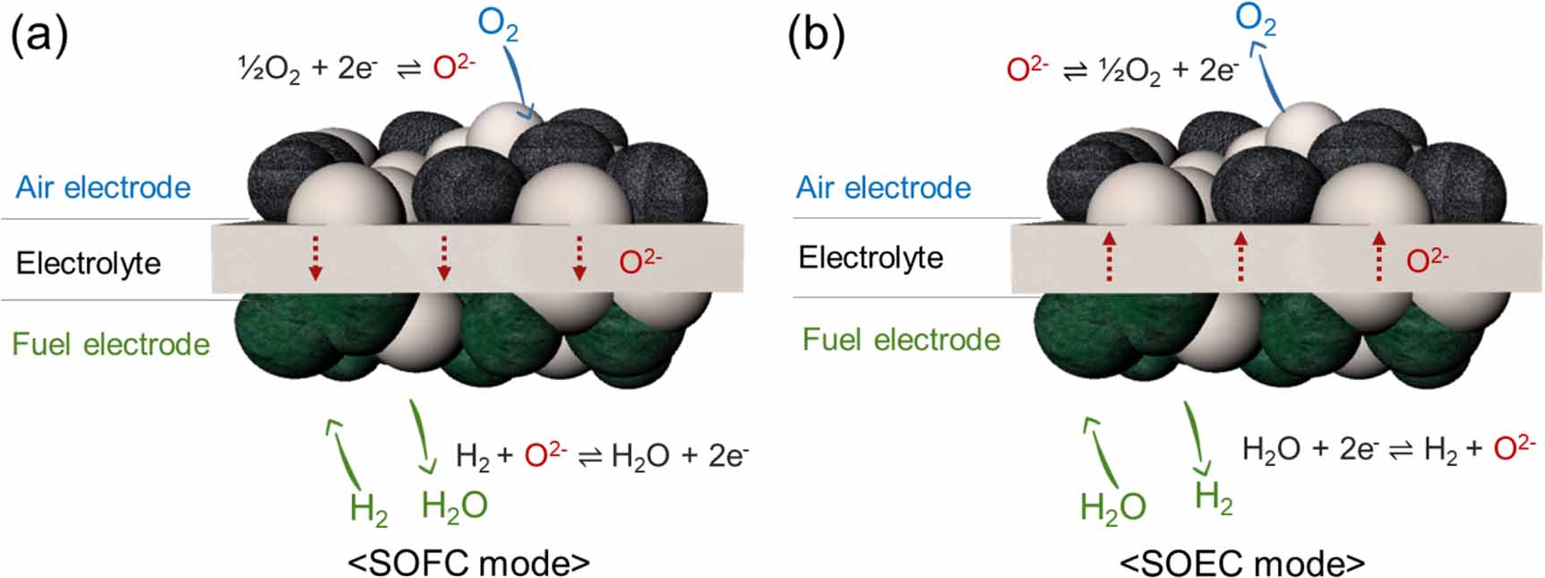 Comprehensive review and future perspectives: 3D printing technology ...