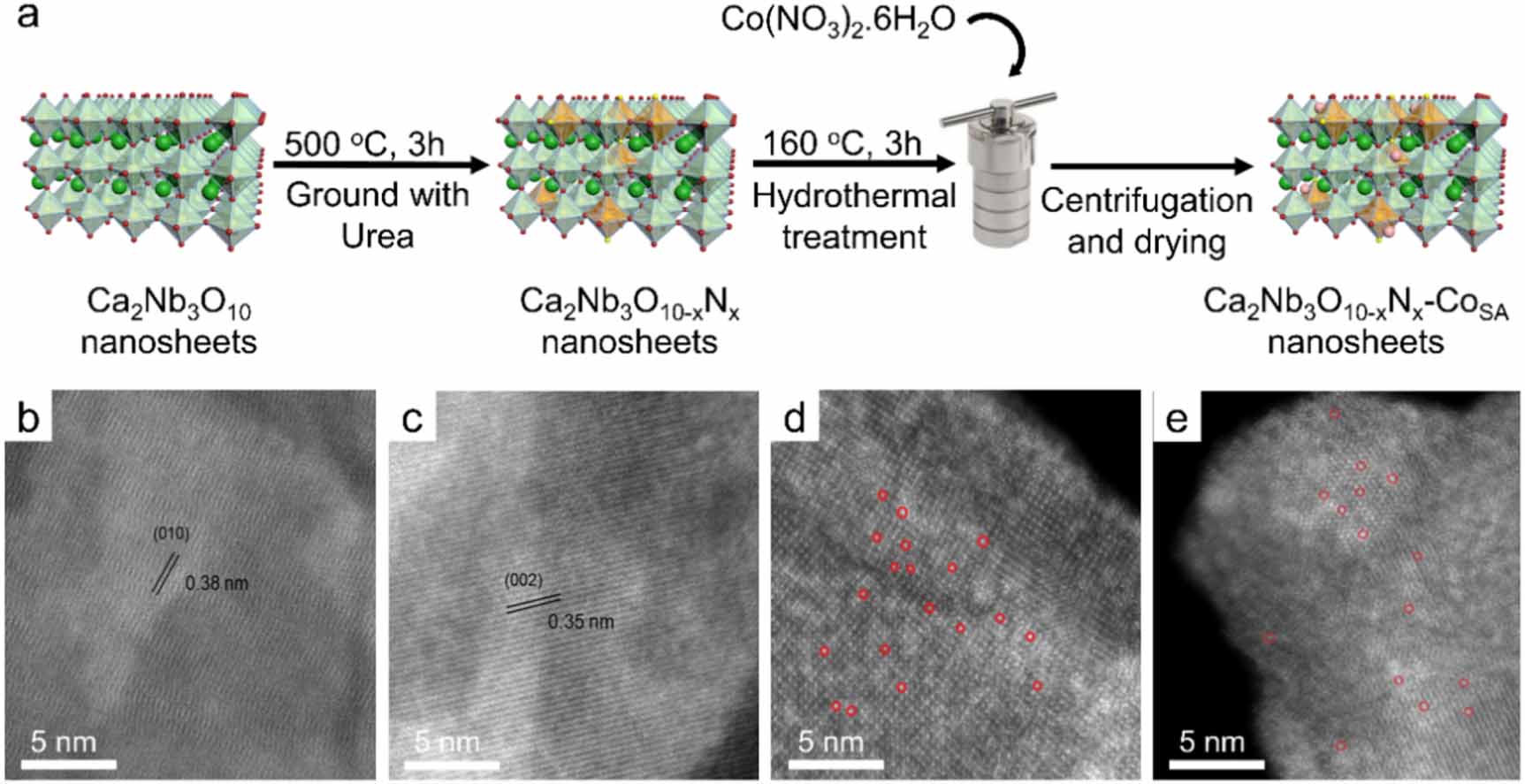 Synergy of nitrogen dopants and cobalt single atoms in calcium niobate ...