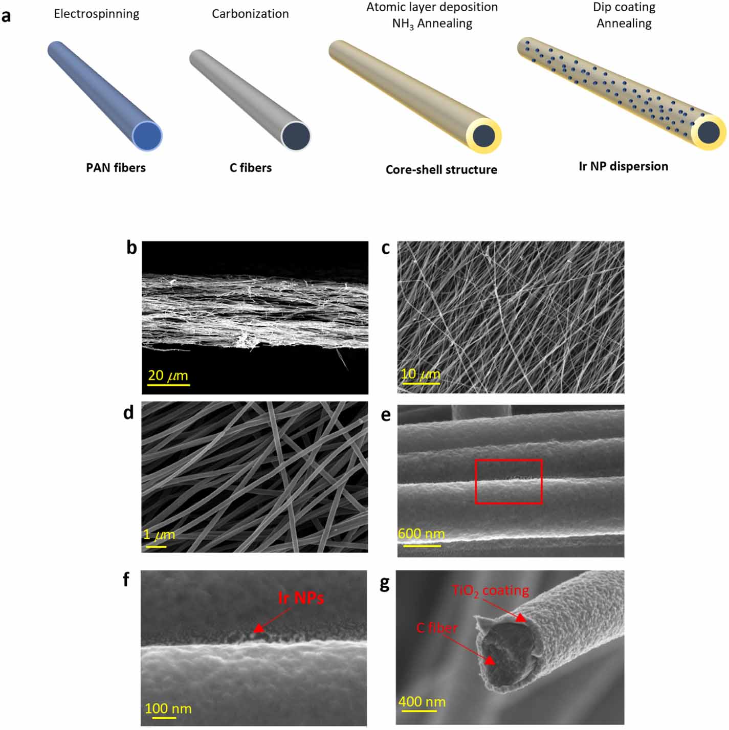 A core–shell TiON–C nanostructure as a self-supported and scalable ...