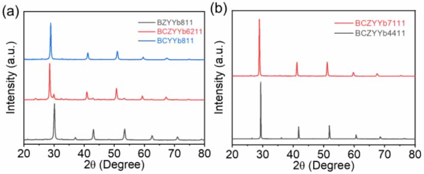 Improving protonic ceramic electrochemical cell performance via a dual ...