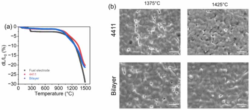 Improving protonic ceramic electrochemical cell performance via a dual ...