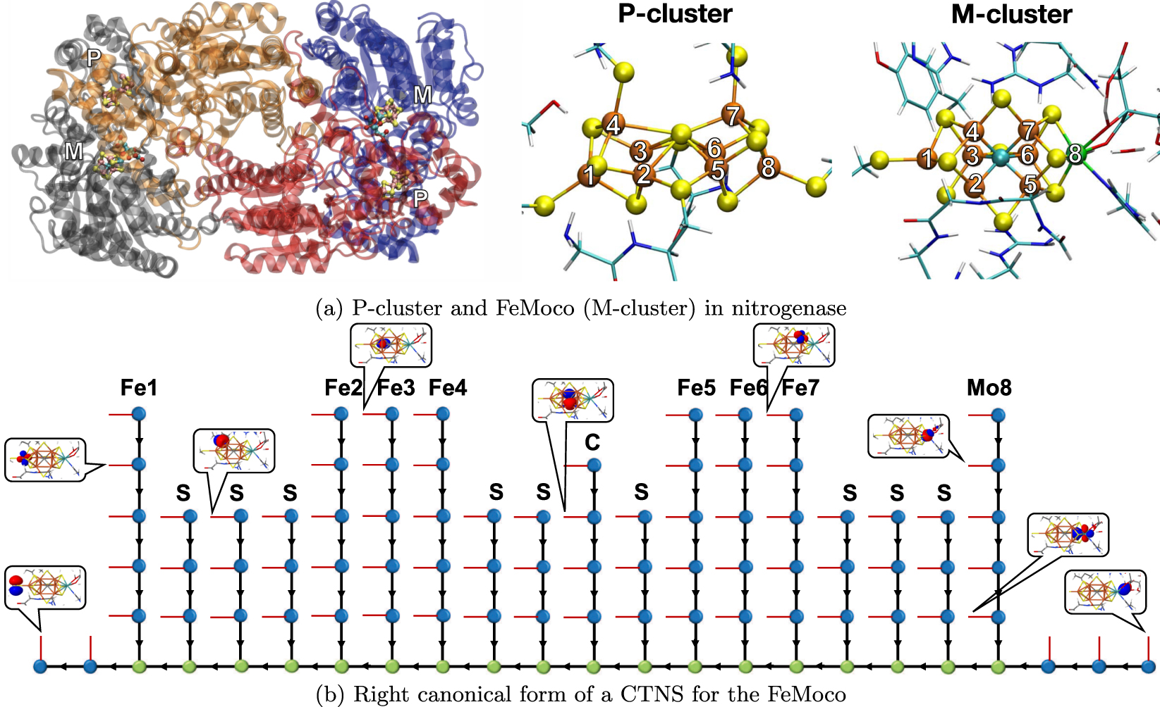 Expressibility of comb tensor network states (CTNS) for the P-cluster ...