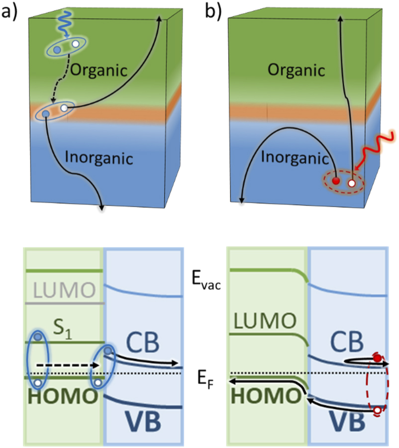 Inorganic–organic interfaces in hybrid solar cells - IOPscience