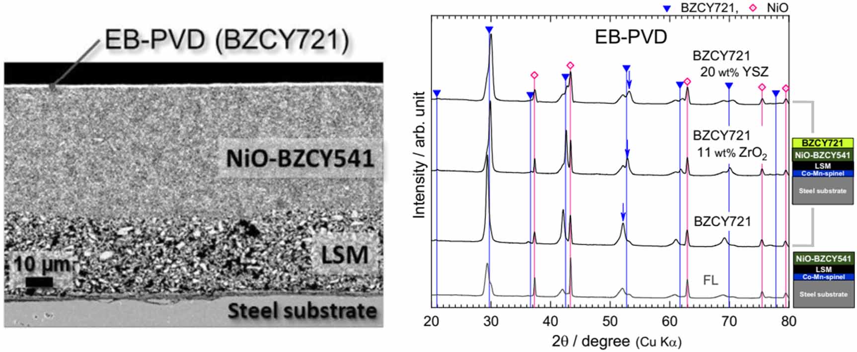 Protonic ceramic electrochemical cells in a metal supported ...