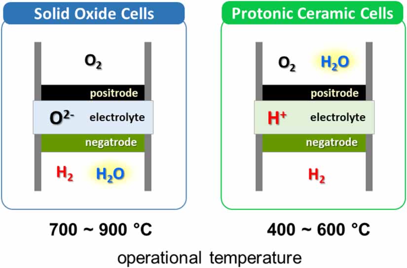 Protonic ceramic electrochemical cells in a metal supported ...
