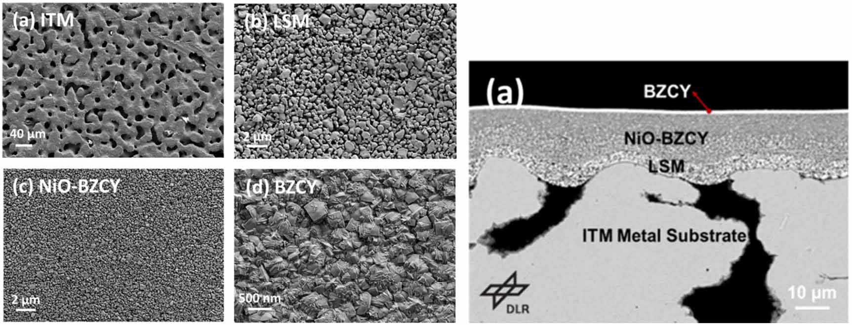 Protonic ceramic electrochemical cells in a metal supported ...
