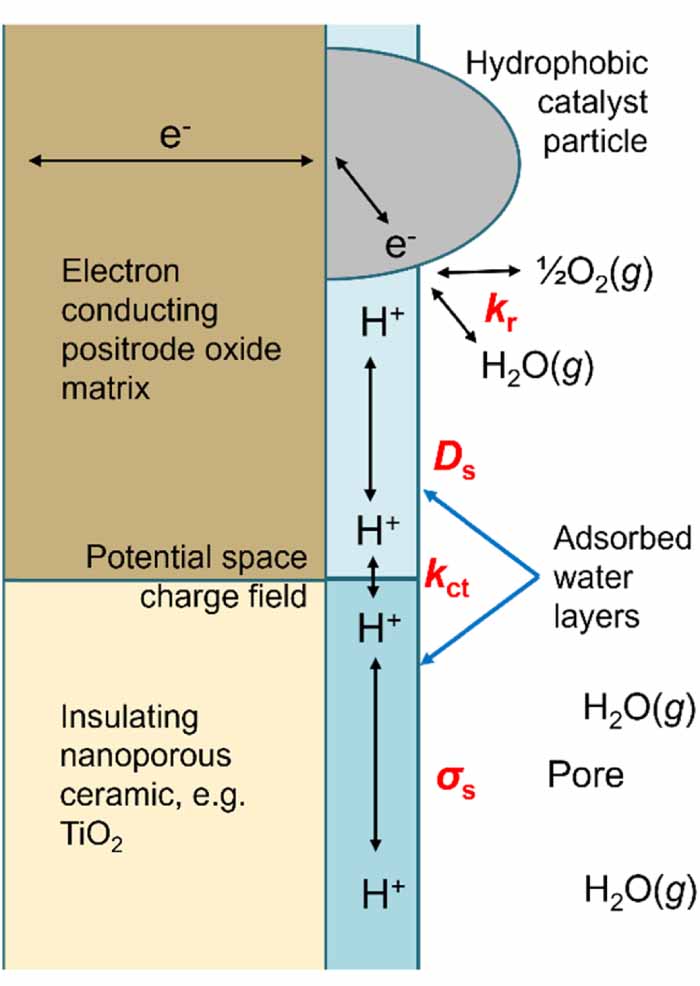 Protonic conduction on oxide surfaces—role and applications in ...