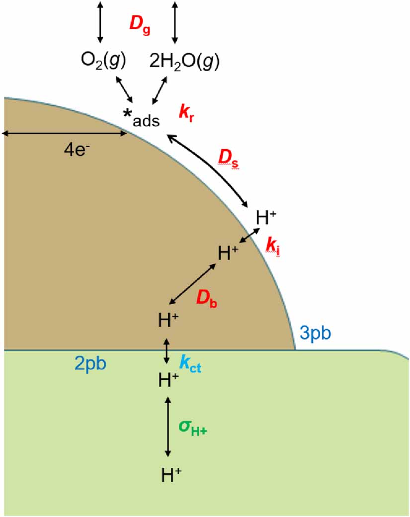 Protonic conduction on oxide surfaces—role and applications in ...