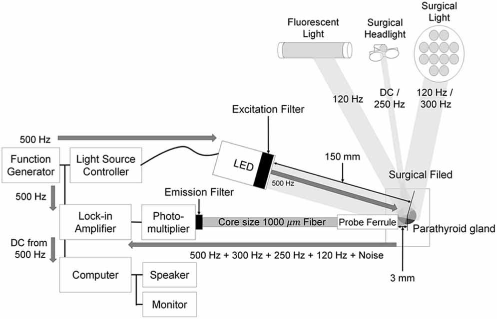 Optical spectroscopy for in vivo medical diagnosis—a review of the ...