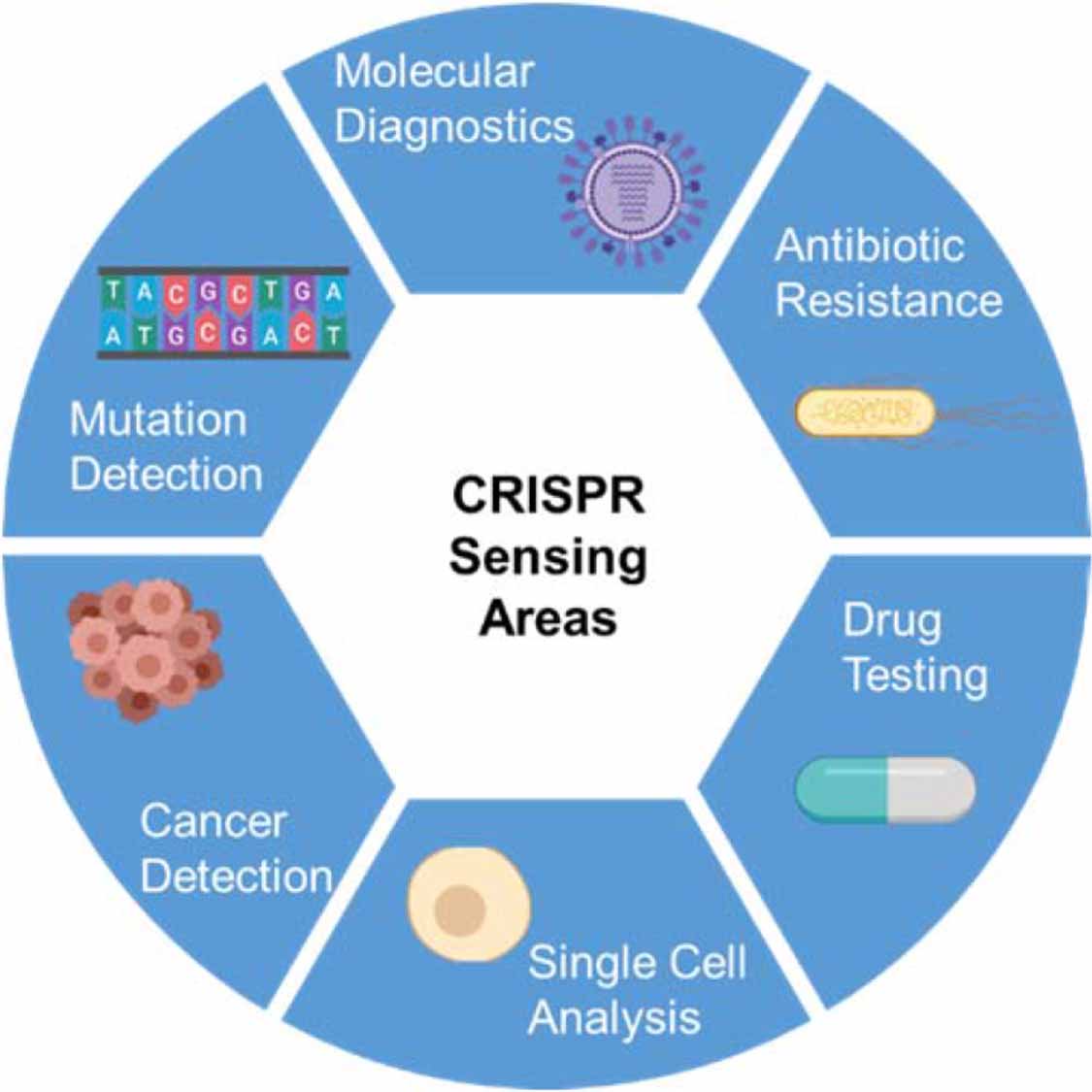 Critical review on where CRISPR meets molecular diagnostics - IOPscience