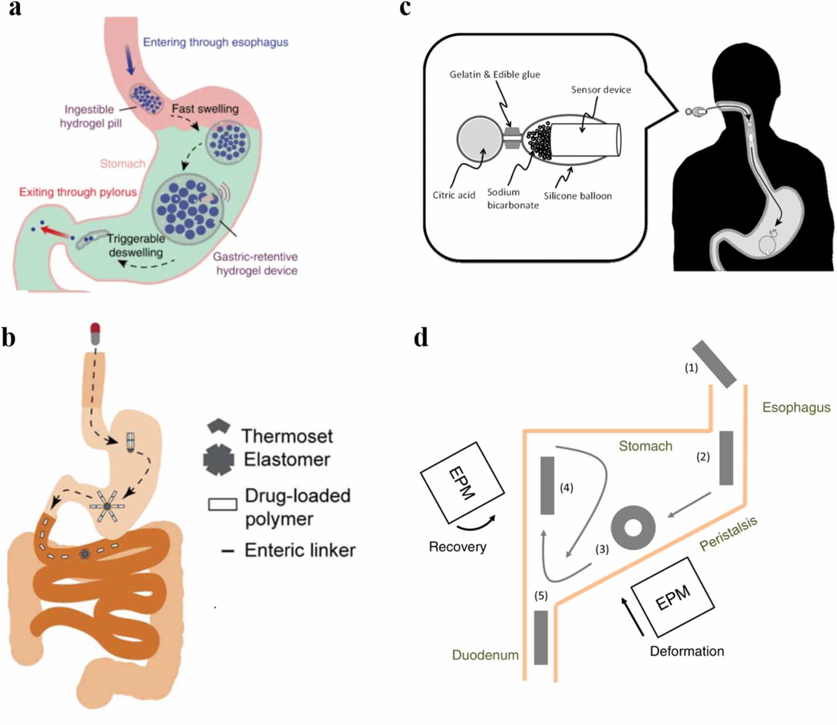 Ingestible devices for long-term gastrointestinal residency: a review ...